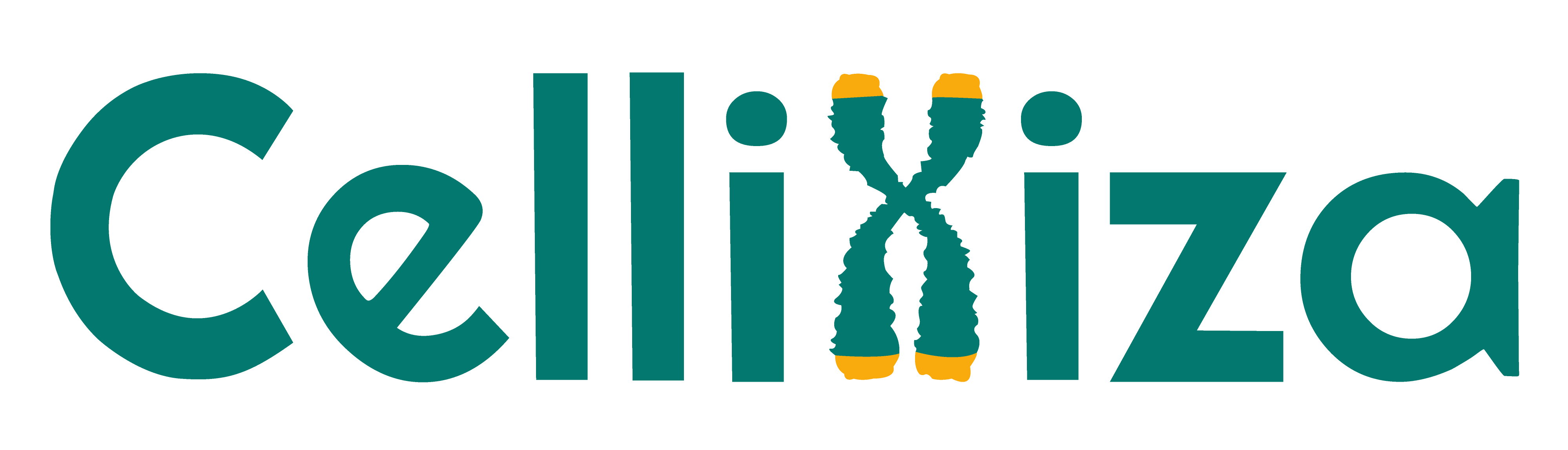 Cellixi-Spin RNA Columns for RNA purification - cellixiza.com